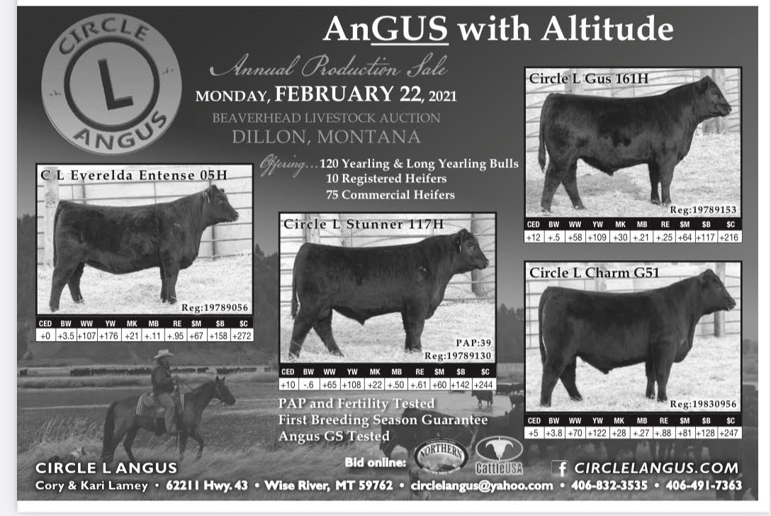 circle-l-flyer-2 – Dillon Livestock Auction