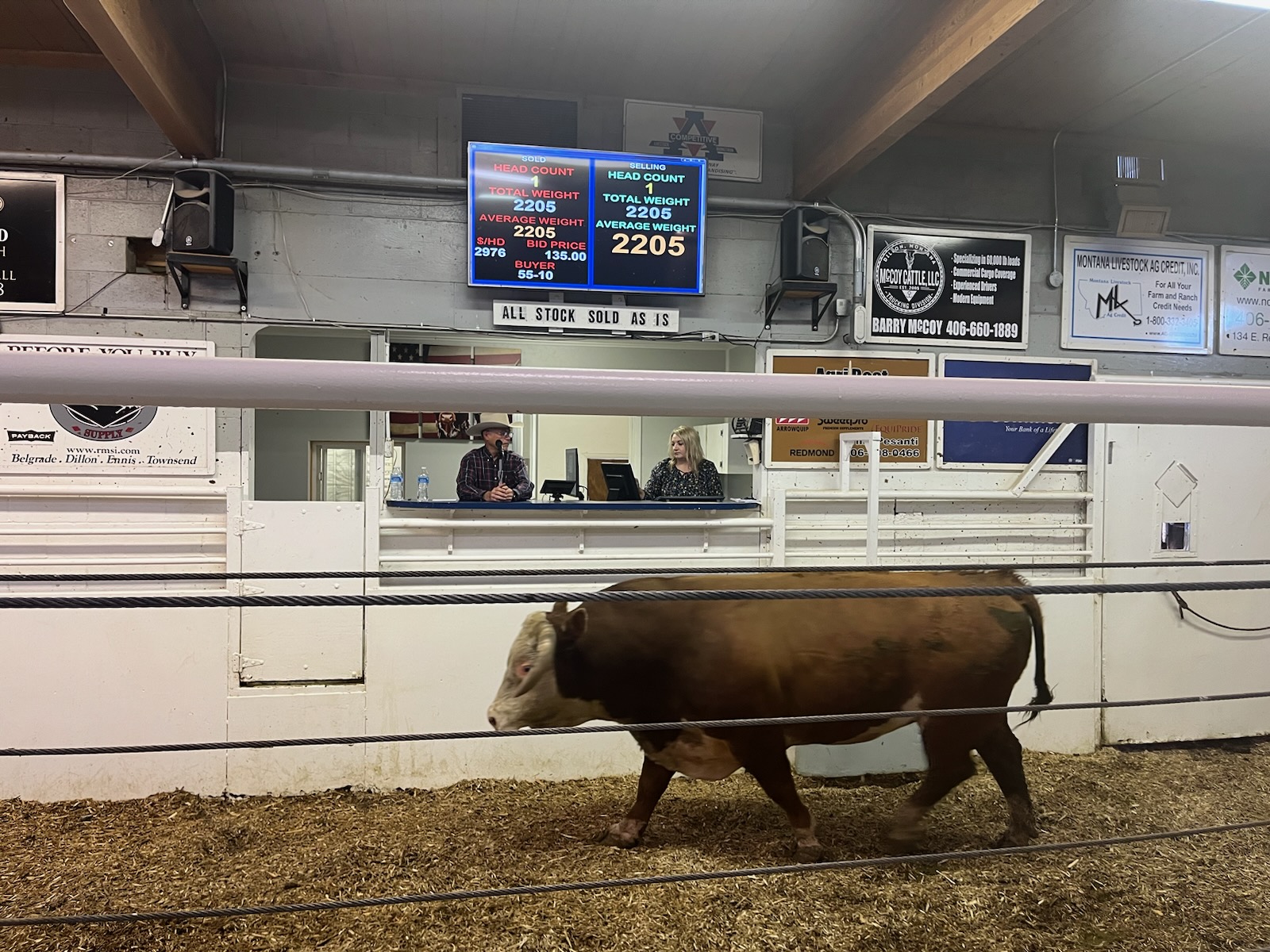 Dillon Livestock Auction – Here to take care of you and your cattle