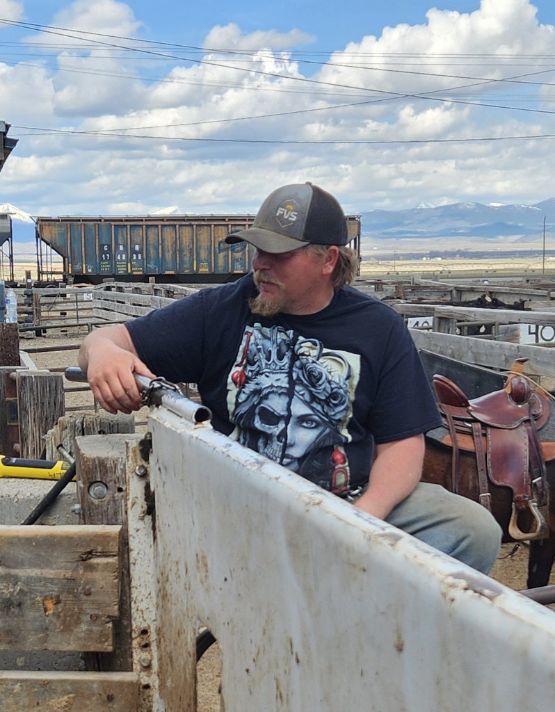 Contact – Dillon Livestock Auction