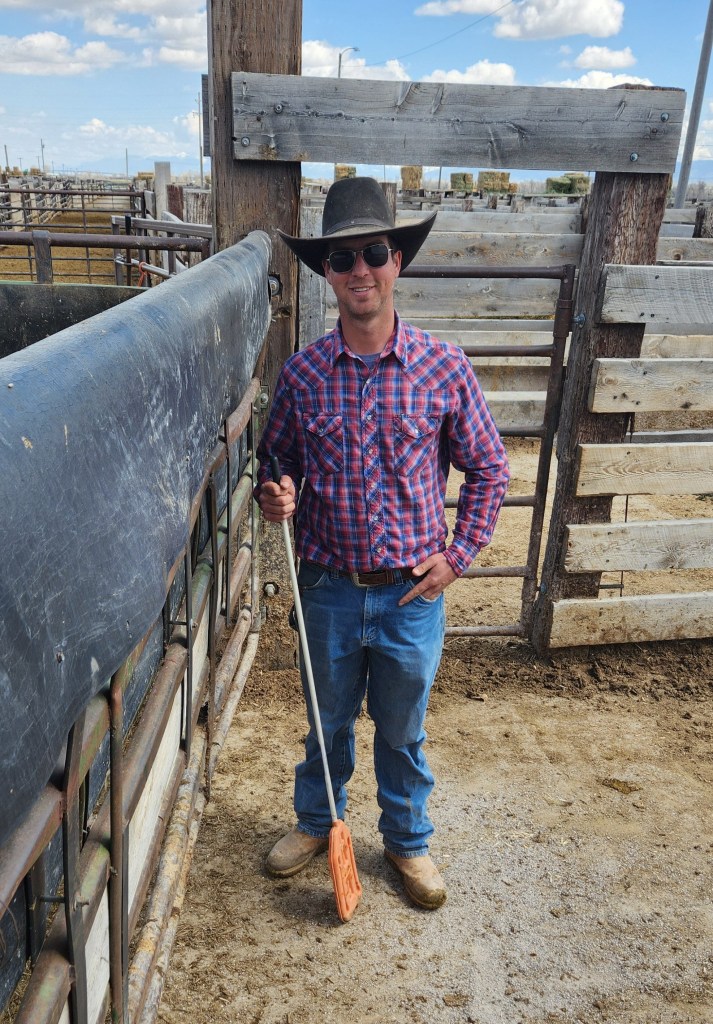 Contact – Dillon Livestock Auction