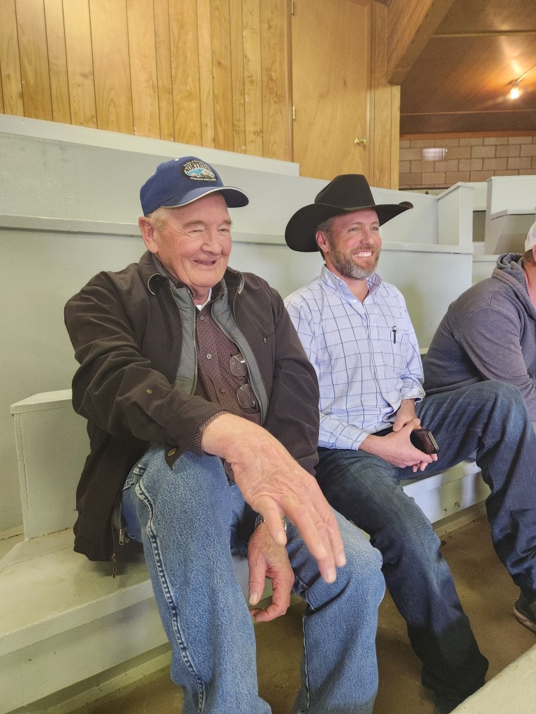 Contact – Dillon Livestock Auction