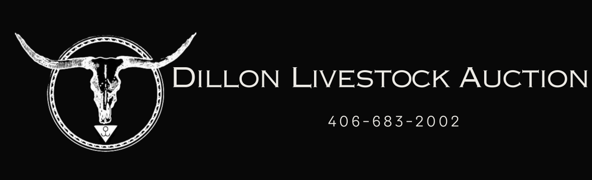 DLA News Letter Logo – Dillon Livestock Auction
